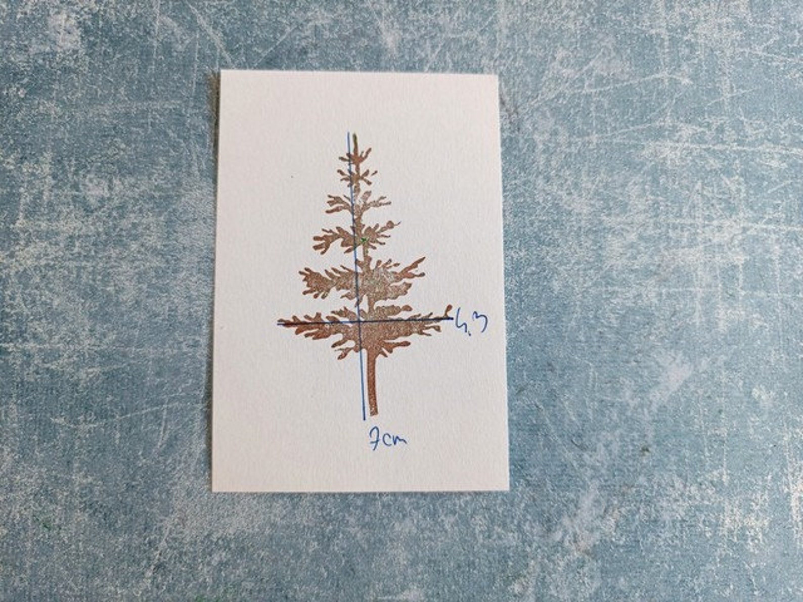 Pine Tree Rubber Stamp, Wild Forest Stationery, Christmas Cardmaking ...
