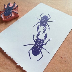 Insect Rubber Stamp Bug Rubber Stamp Animal Rubber Stamp | Etsy