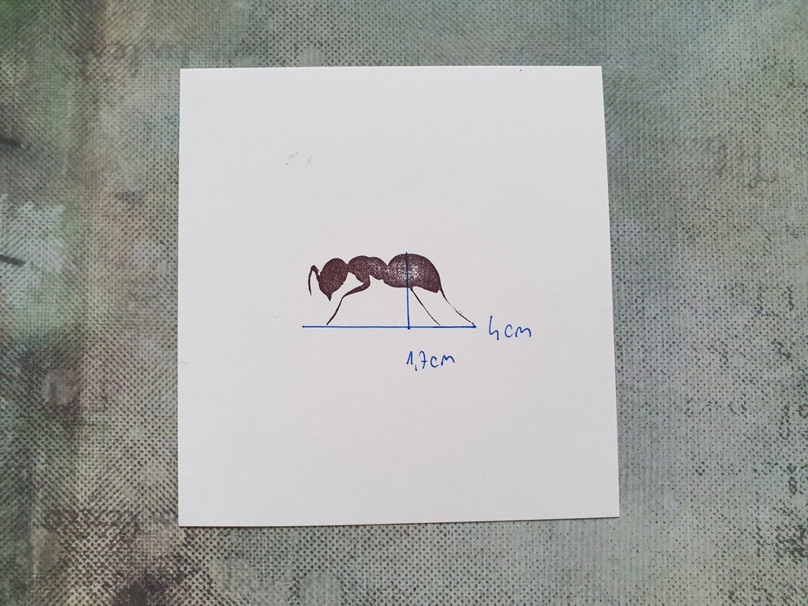 Ant rubber stamp for junk journal insect stamp for creative | Etsy