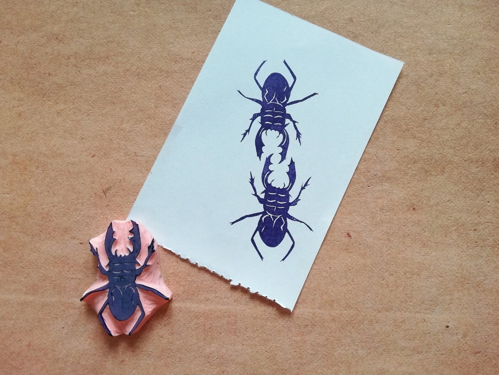 Insect Rubber Stamp Bug Rubber Stamp Animal Rubber Stamp | Etsy