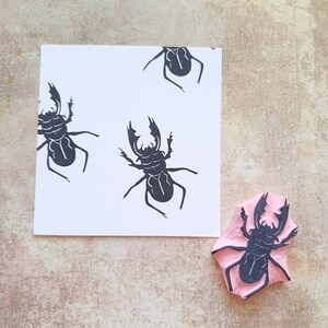 Insect Rubber Stamp Bug Rubber Stamp Animal Rubber Stamp | Etsy