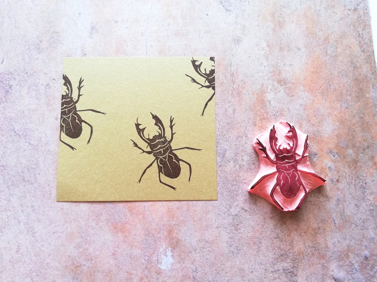 Insect Rubber Stamp Bug Rubber Stamp Animal Rubber Stamp - Etsy
