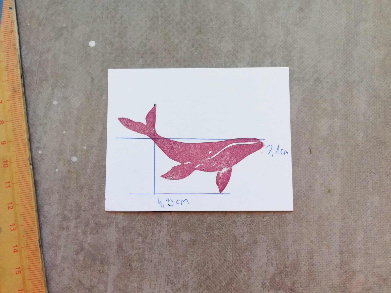 Whale Stamp for Nature Journal, Baleen Whale Rubber Stamp, Ocean Animal ...