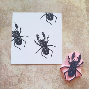 Insect Rubber Stamp, Bug Rubber Stamp, Animal Rubber Stamp, Clay Stamp ...