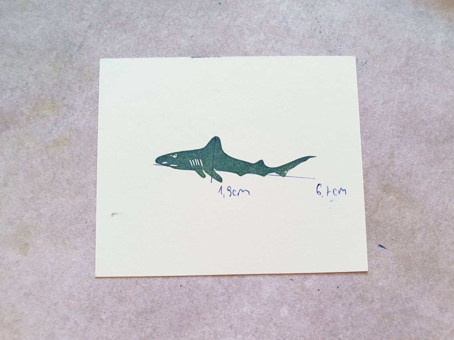 Shark Rubber Stamp for Birthday Wishes Ocean Animal Wooden - Etsy