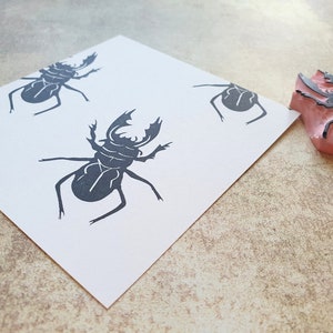 Insect Rubber Stamp, Bug Rubber Stamp, Animal Rubber Stamp, Clay Stamp ...