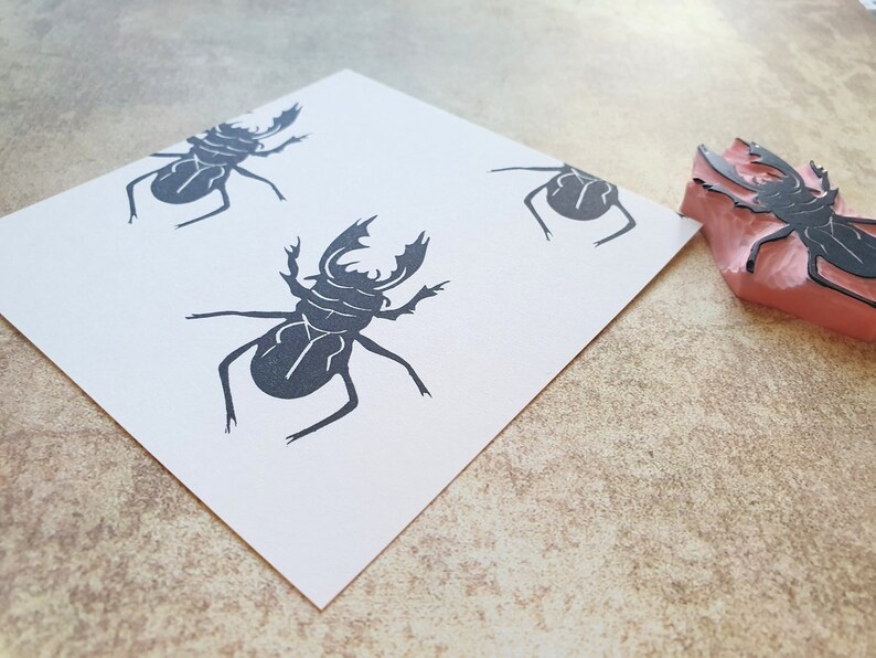 Insect Rubber Stamp Bug Rubber Stamp Animal Rubber Stamp - Etsy