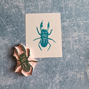 Insect Rubber Stamp, Bug Rubber Stamp, Animal Rubber Stamp, Clay Stamp ...
