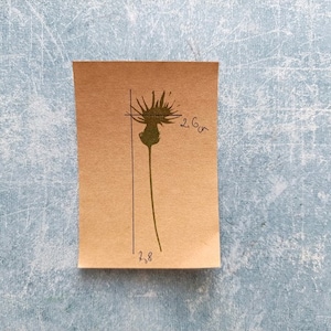 Cornflower Rubber Stamp, Botanical Stamp for Cardmaking, Junk Journal ...
