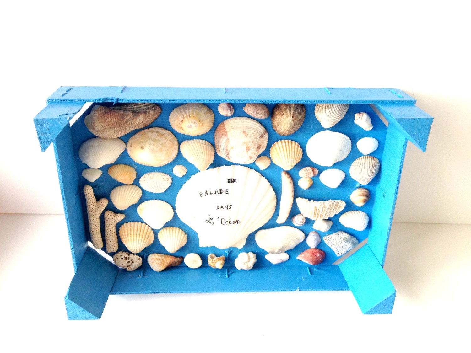 Tableau SHELL Painted Wooden Box and Multiple Shells Une Balade Dans L ...