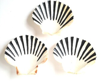 Hand Painted Shells - Etsy