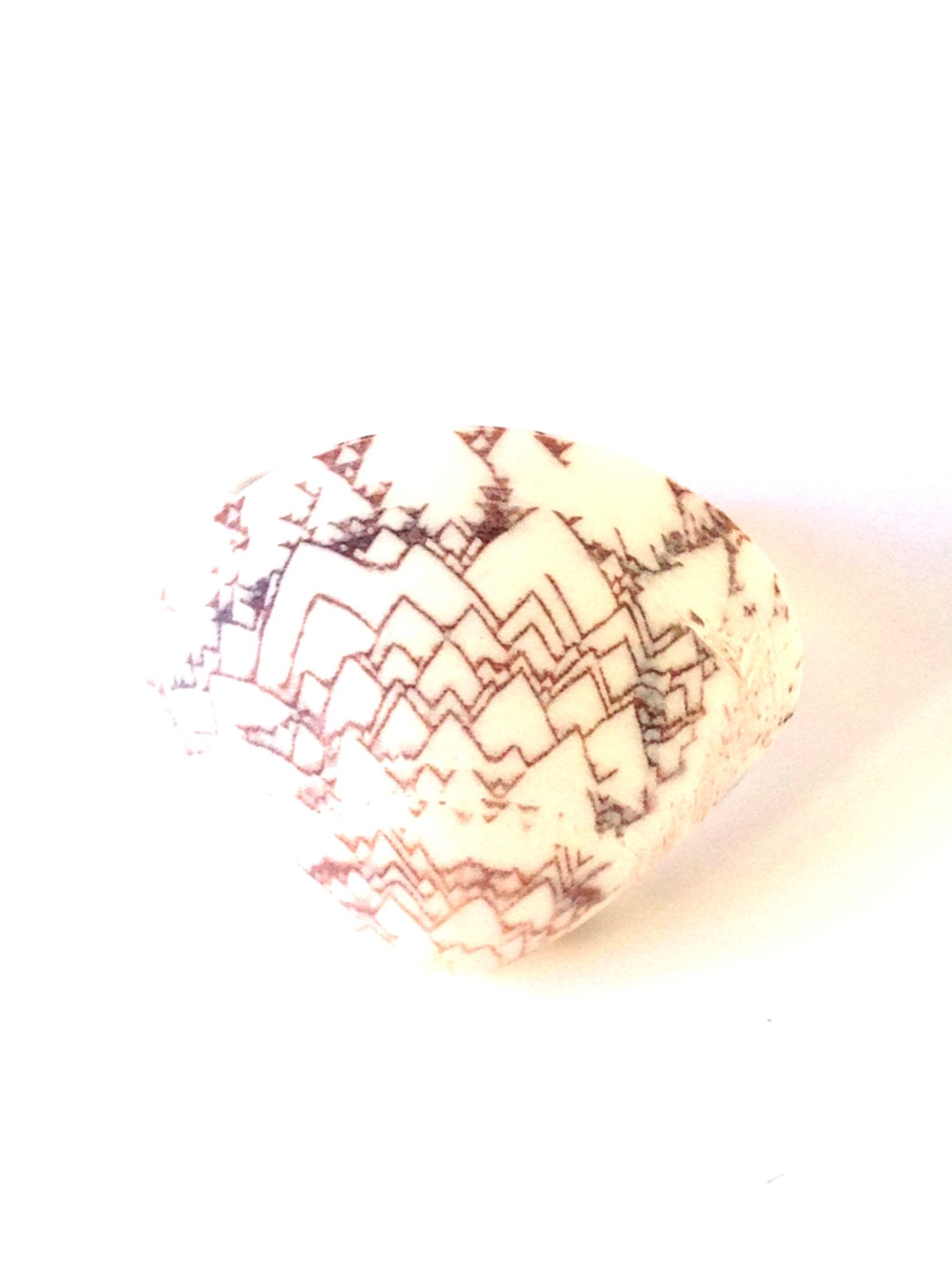 Ring SUMMITS Shell Entirely Natural and Beautiful Design of - Etsy