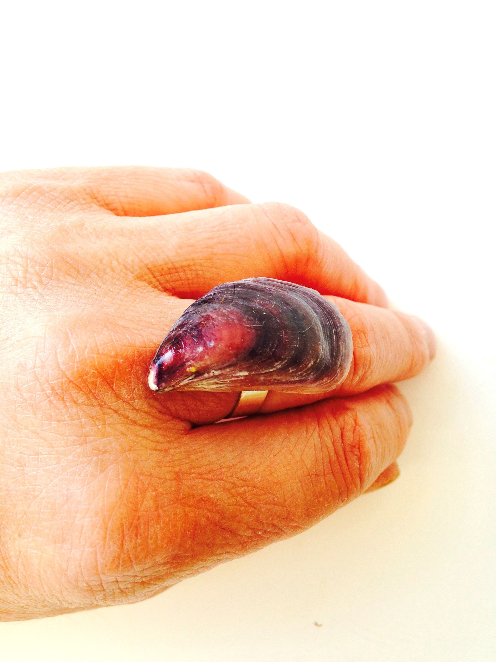Ring TIDE Little Purple Mussel Shell Silver Colored Band - Etsy