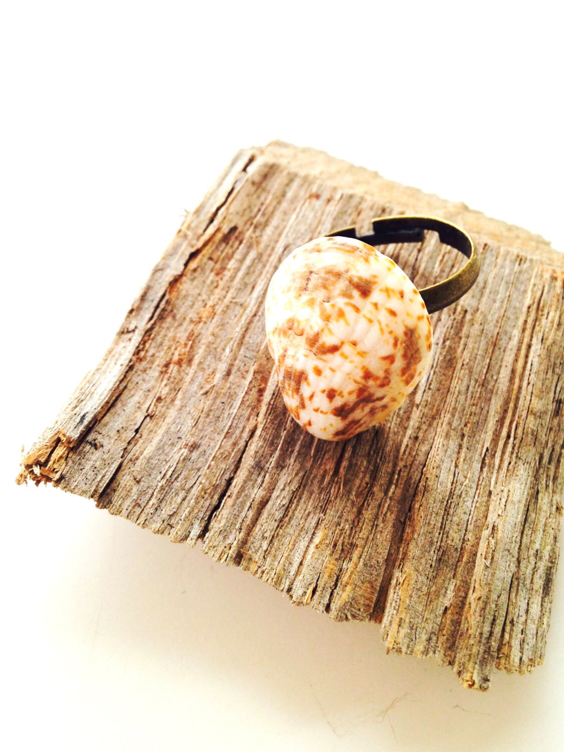Ring MYSTERY Shell With Tiny Brown Pattern Adjustable Bronze Ring by ...
