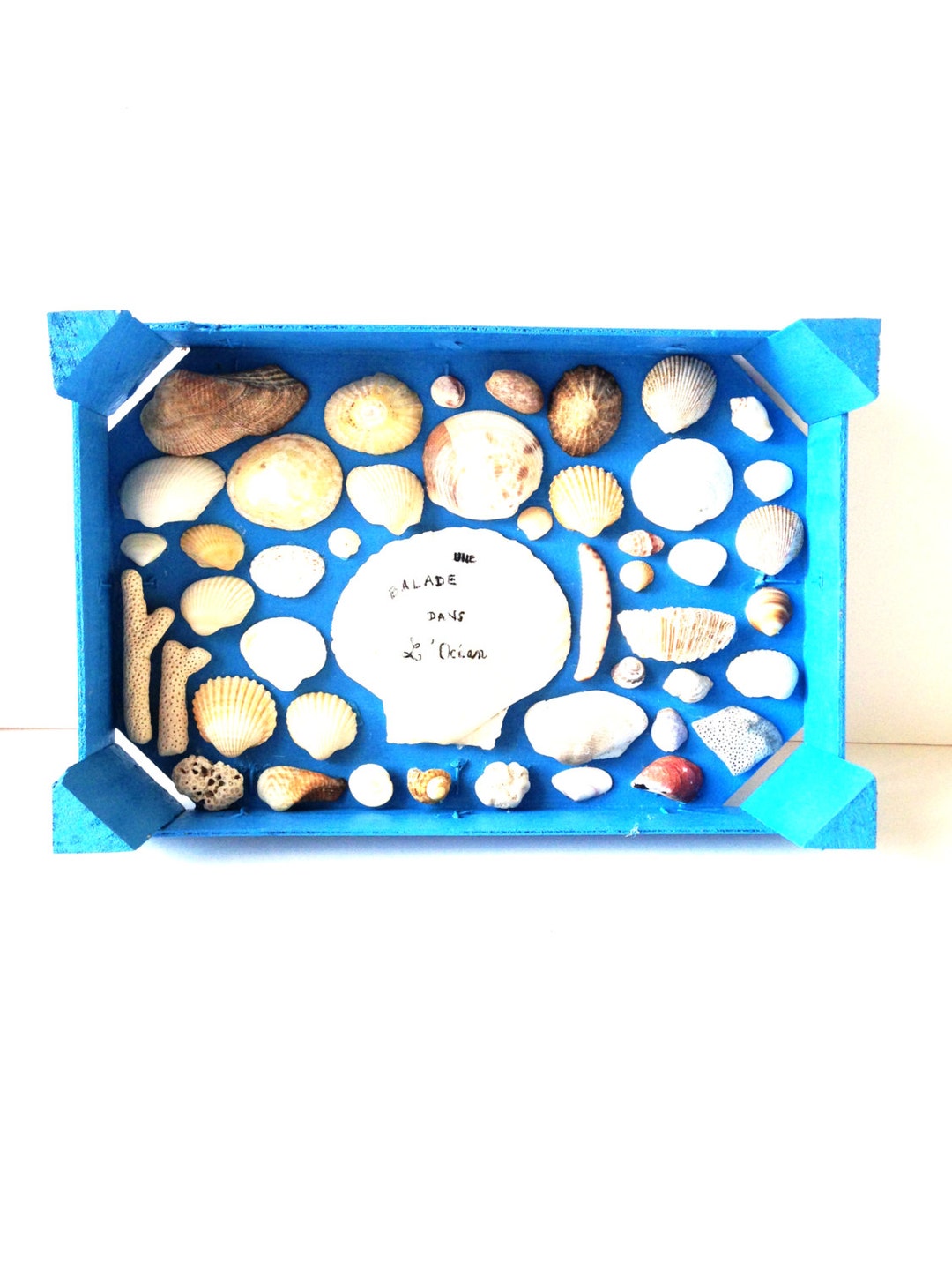 Tableau SHELL Painted Wooden Box and Multiple Shells Une Balade Dans L ...