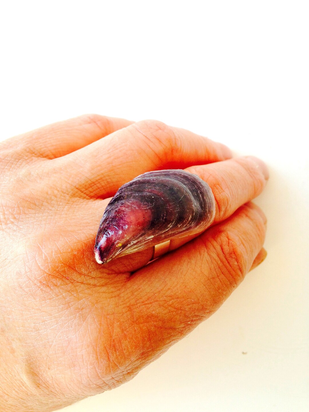 Ring TIDE Little Purple Mussel Shell Silver Colored Band Adjustable ...