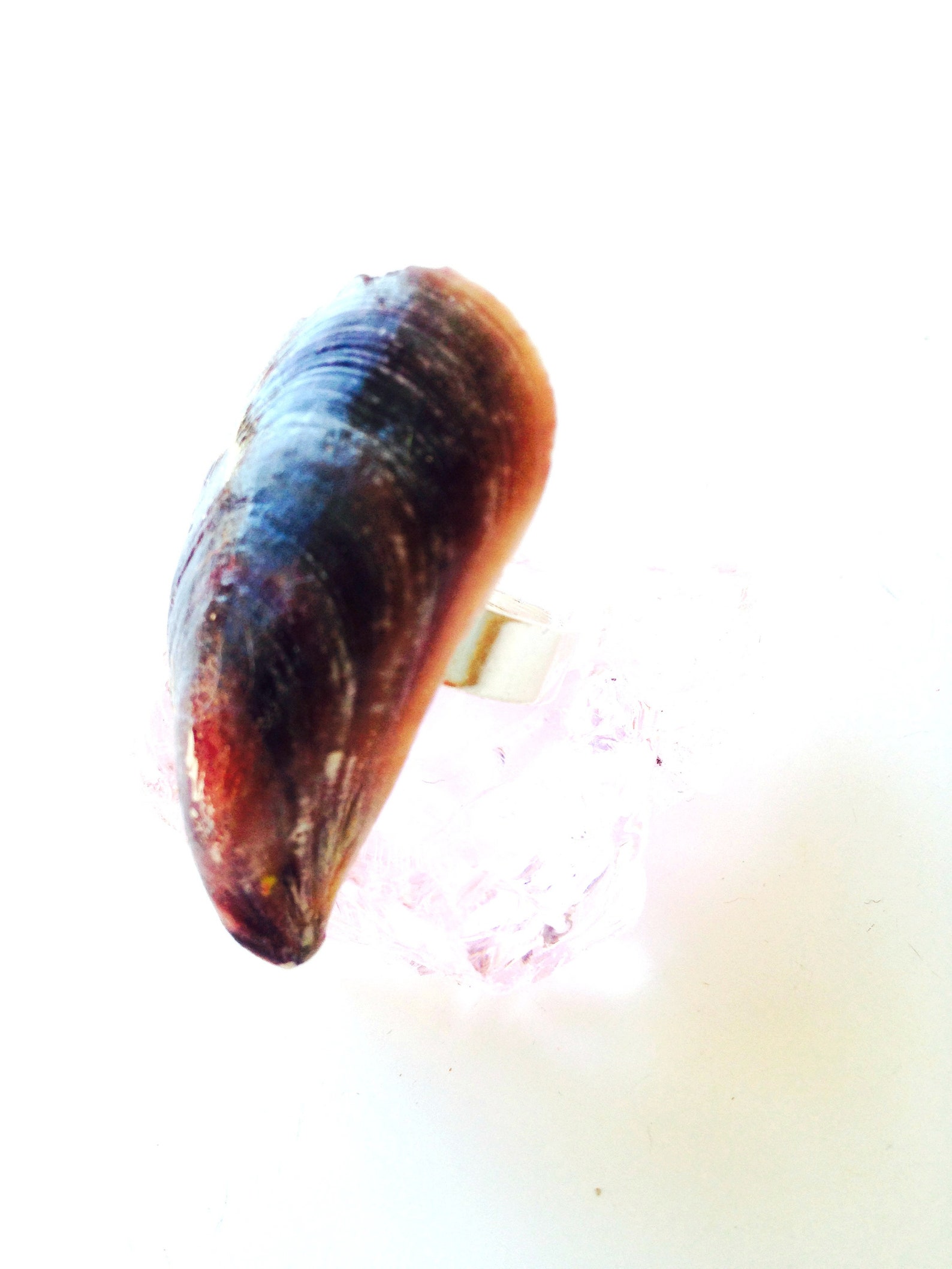 Ring TIDE Little Purple Mussel Shell Silver Colored Band - Etsy