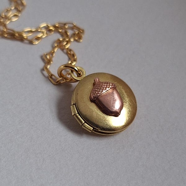 Acorn Locket - Etsy
