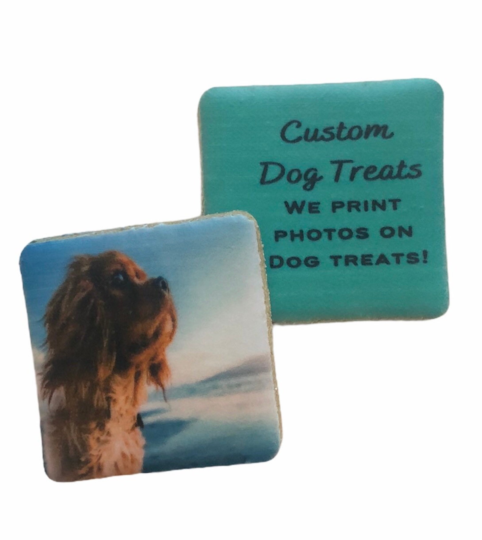 Custom Dog Treats - Photo Dog Cookies - Puppy Treats - Gourmet Dog ...