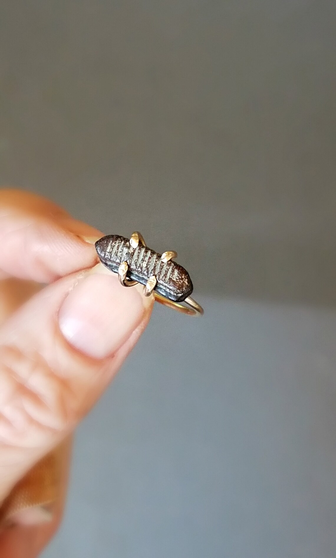 Fossil Ring Stingray Tooth Jawbone Ring Men's Rock | Etsy