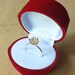 Velvet Ring Box Engagement Ring Presentation Box Red Rose - Etsy