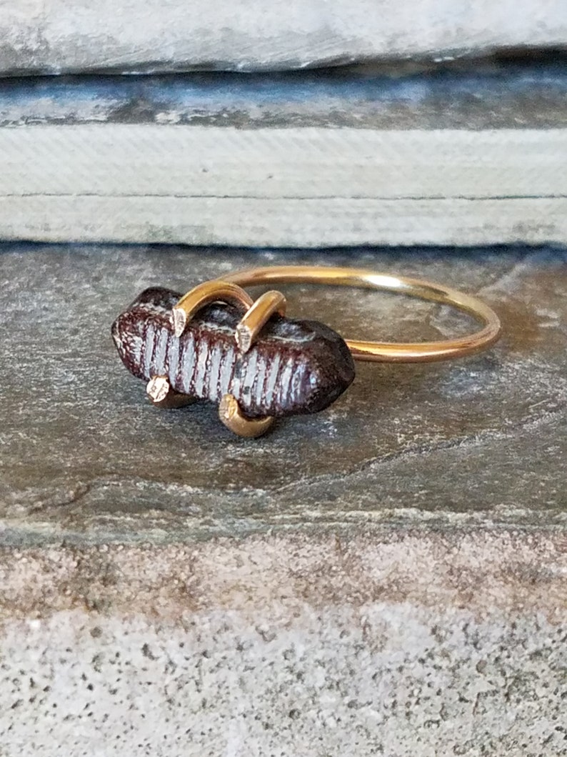 Fossil Ring Stingray Tooth Jawbone Ring Men's Rock | Etsy