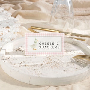 Silly Goose Birthday Food Labels, Goose 1st Birthday Place Card, First ...