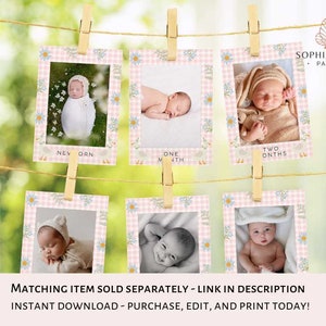 Silly Goose Birthday Food Labels, Goose 1st Birthday Place Card, First ...