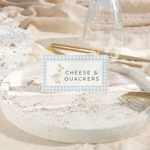 Silly Goose 1st Birthday Buffet Labels, Goose 1st Birthday Place Cards ...