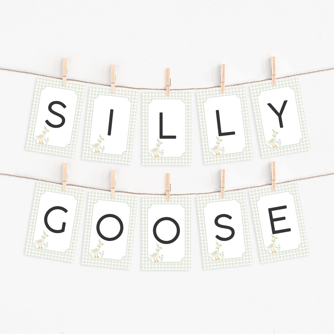 Silly Goose Birthday Party Banner Template, One Lucky Duck Birthday ...