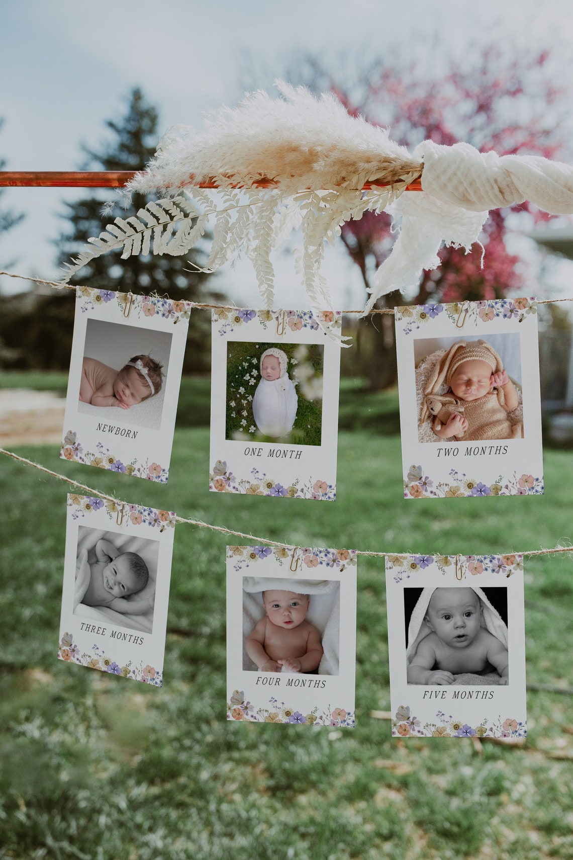 Wildflower First Year Photos, 1st Birthday Photo Display Banner ...