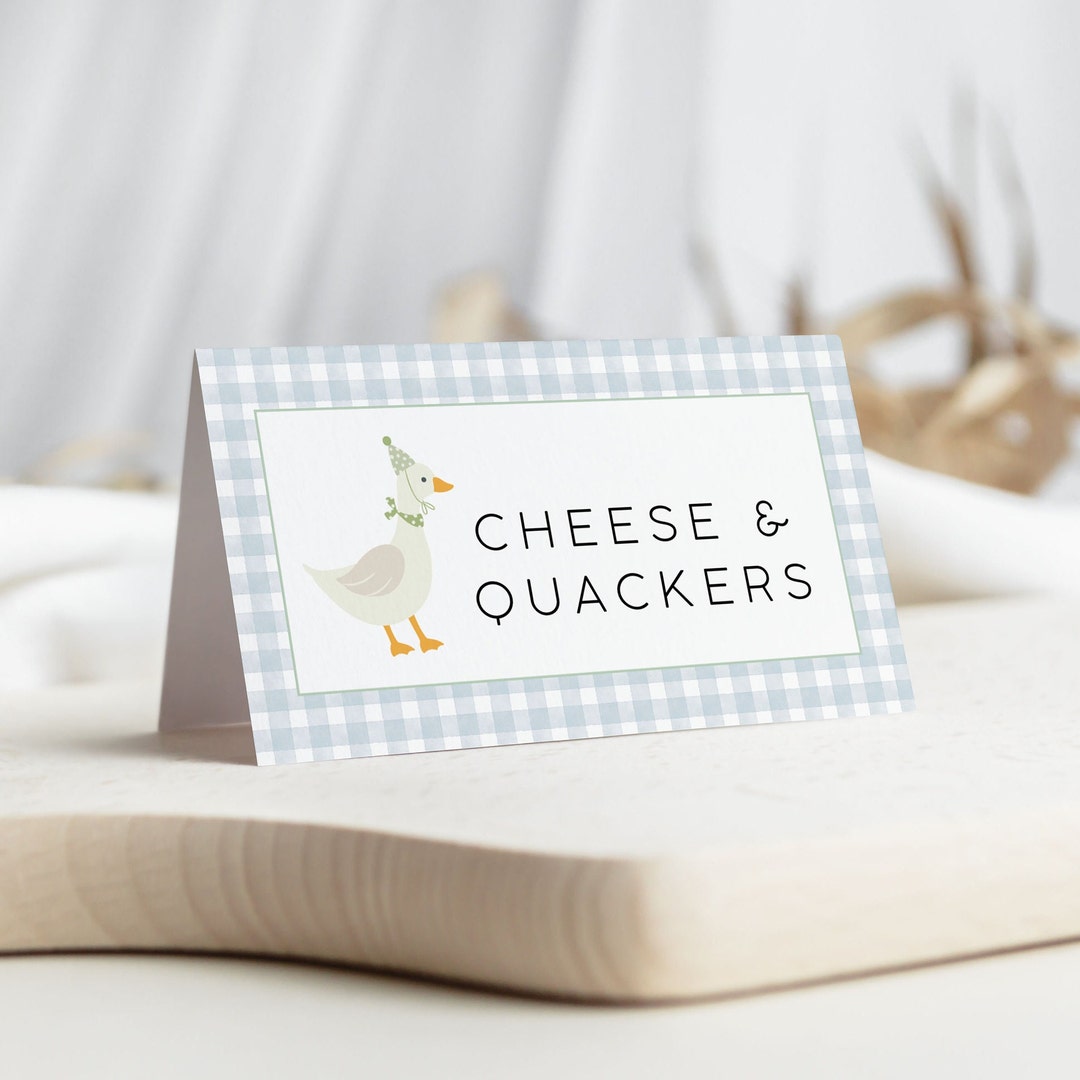 Silly Goose 1st Birthday Buffet Labels, Goose 1st Birthday Place Cards ...
