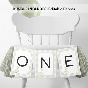 Silly Goose Birthday Invitation Template, Boy First Birthday Party ...