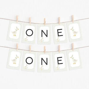 Silly Goose Birthday Party Banner Template, One Lucky Duck Birthday ...