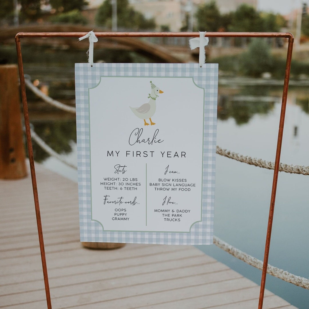 Silly Goose First Birthday Milestones Template, My First Year Sign ...