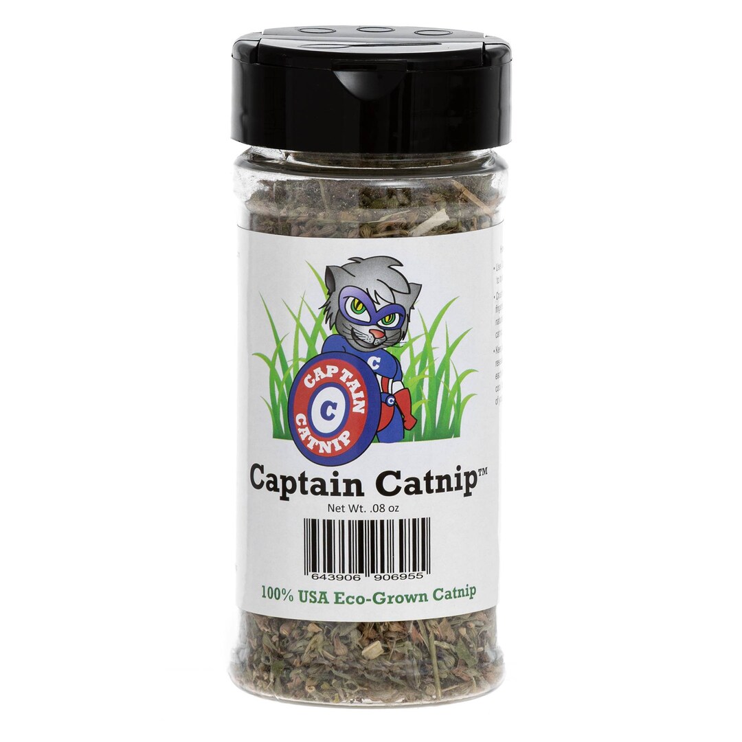 Captain Catnip 1 Full Cup Fresh Potent Nepeta Cataria Cats Love It - Etsy