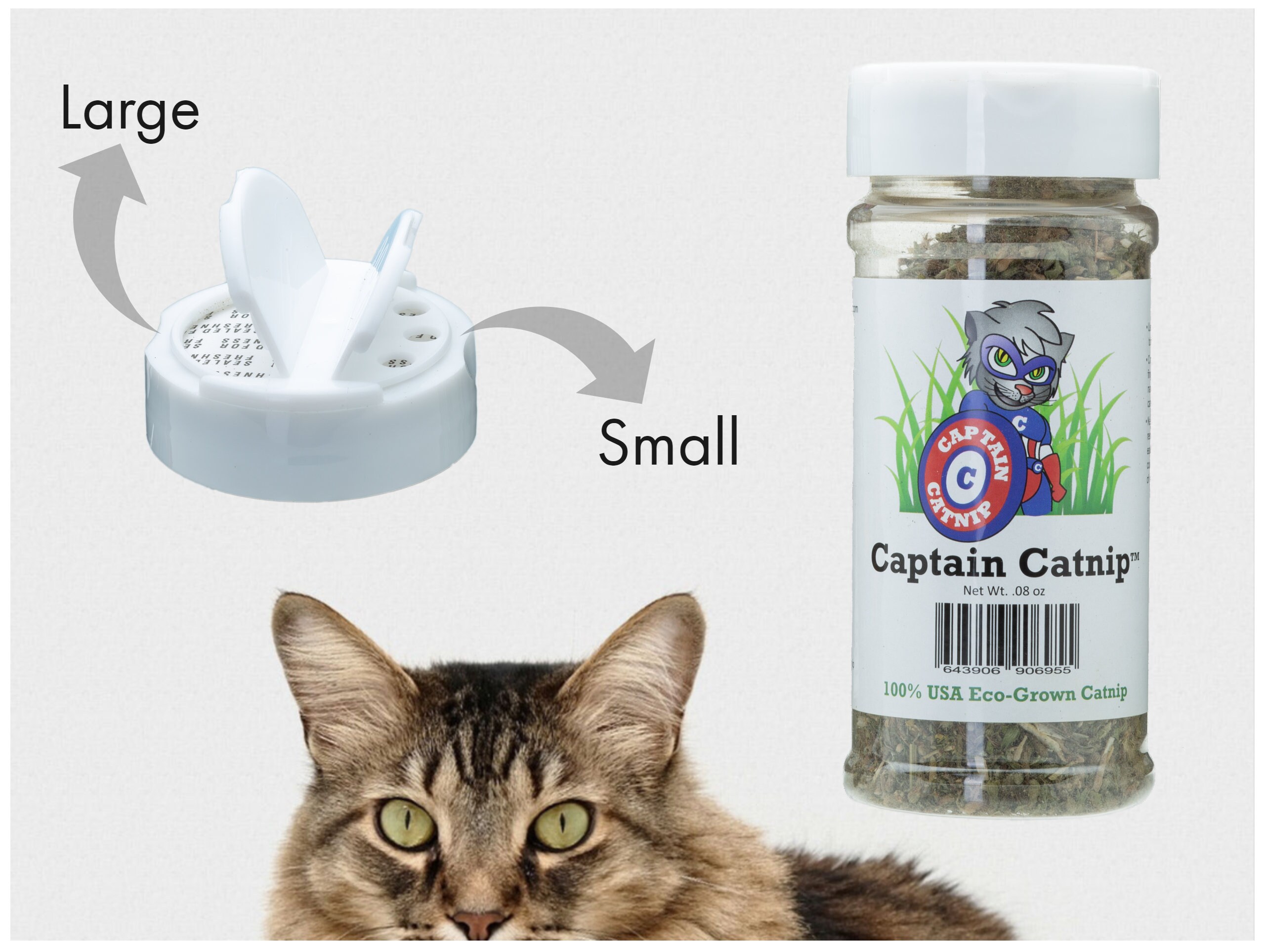 Captain Catnip 1 Full Cup Fresh Potent Nepeta Cataria Cats | Etsy