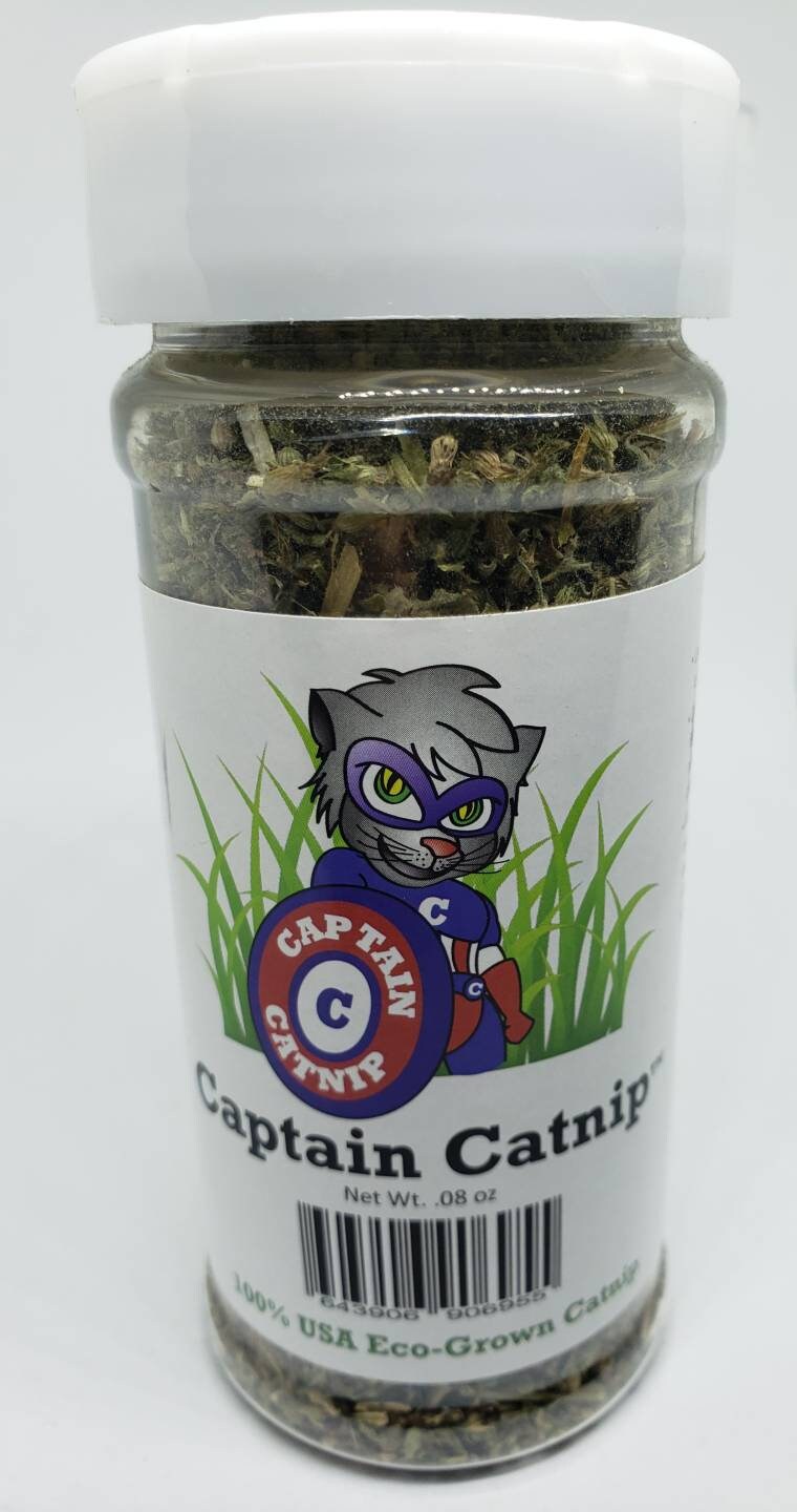 Captain Catnip 1 Full Cup Fresh Potent Nepeta Cataria Cats | Etsy