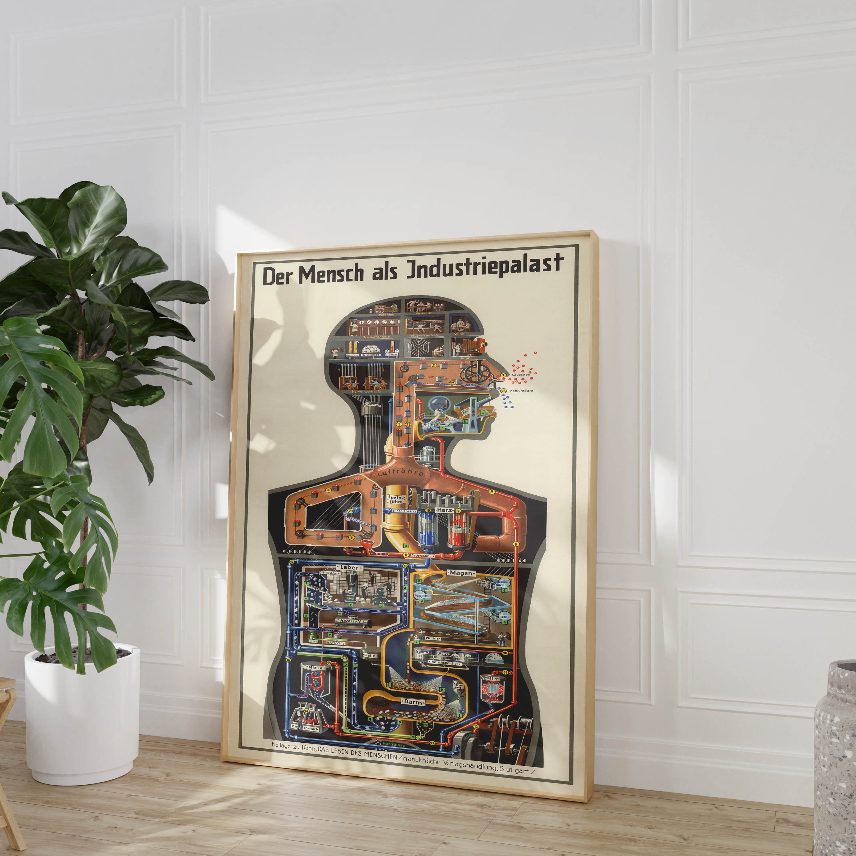 Retro Poster Illustrated Human Body as Industrial Palace - Etsy