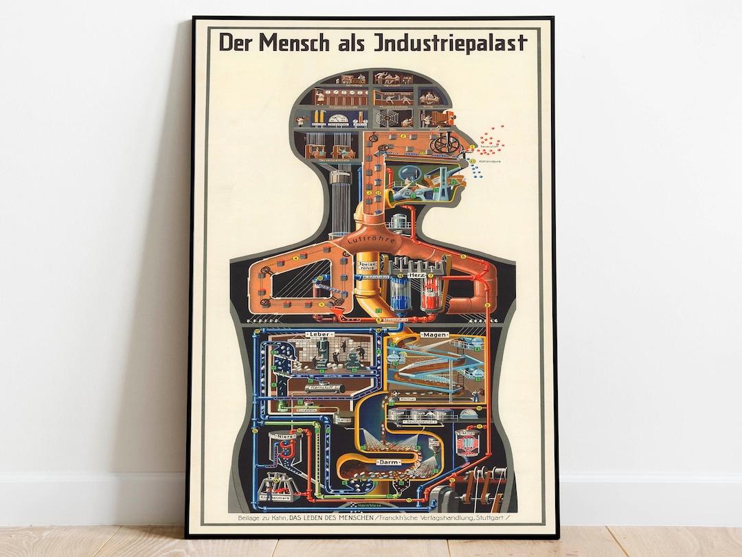 Retro Poster Illustrated Human Body as Industrial Palace Framed Art ...