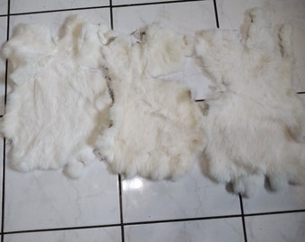 White Rabbit Fur | Etsy