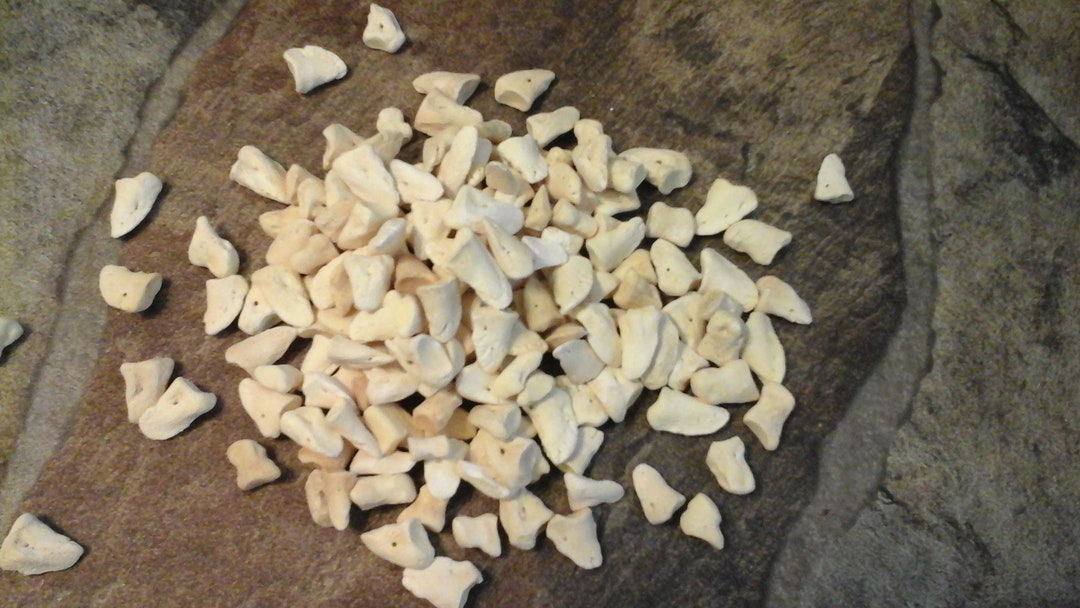 Deer Claw Bones for 12 Looks Like a Arrowhead deer Dew Claw - Etsy