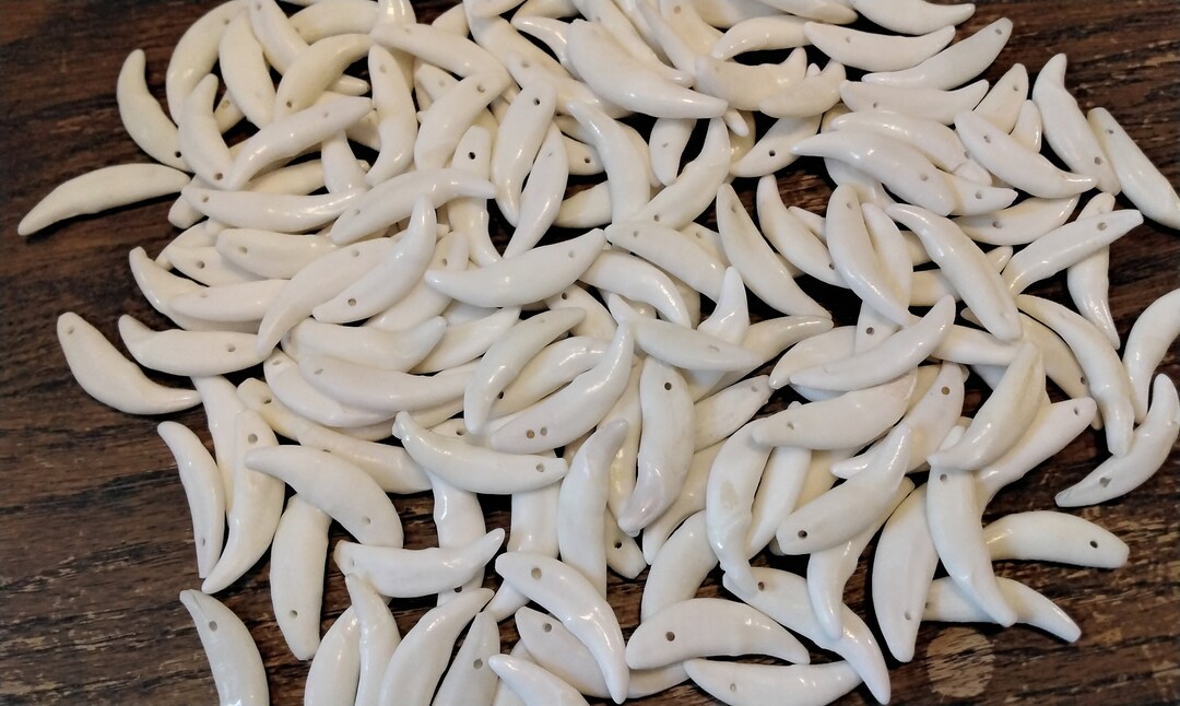 Coyote Fang/tooth for 6 Drilled lot Jumbo - Etsy