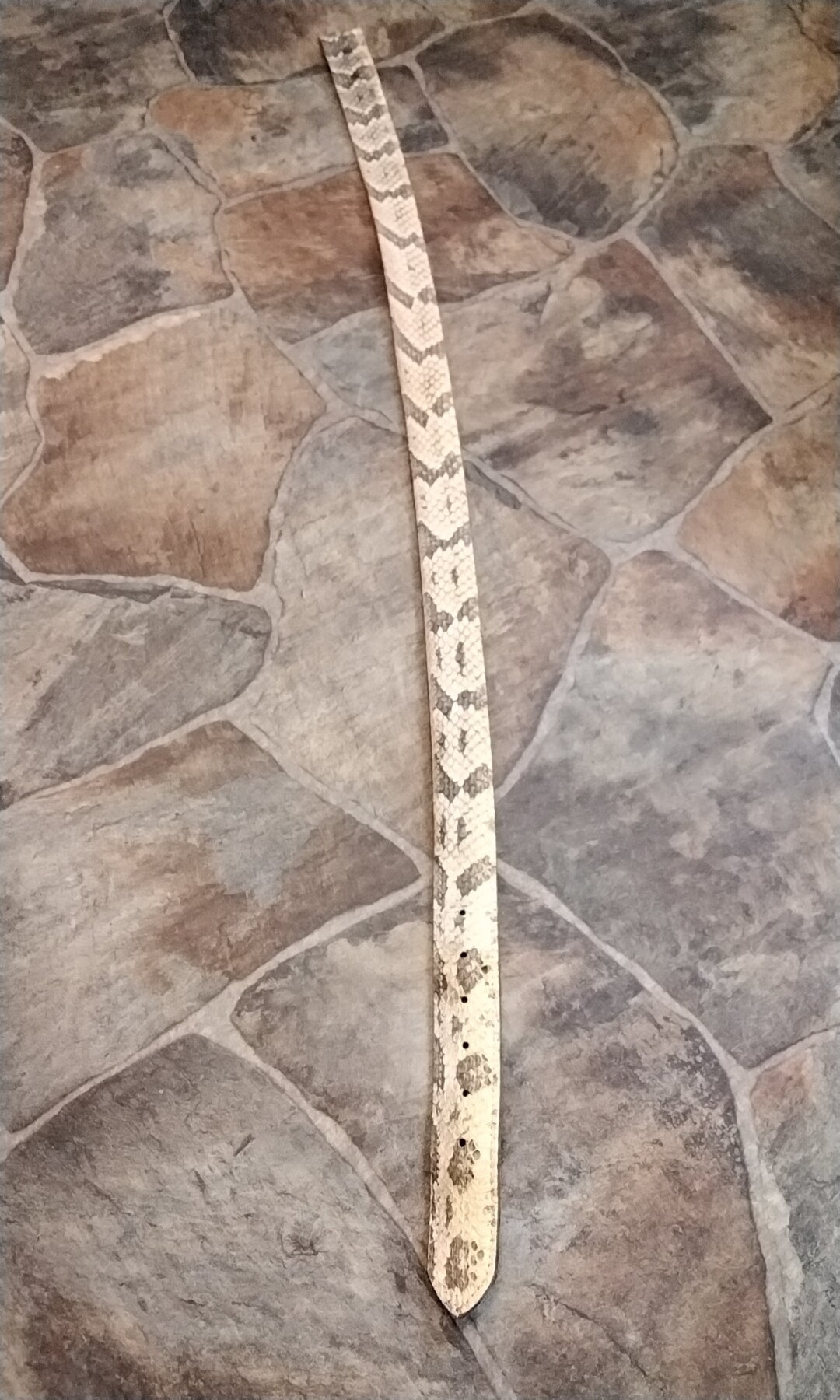 Rattlesnake Skin Belt Canebreak Timber Rattlesnake Skin Belt - Etsy