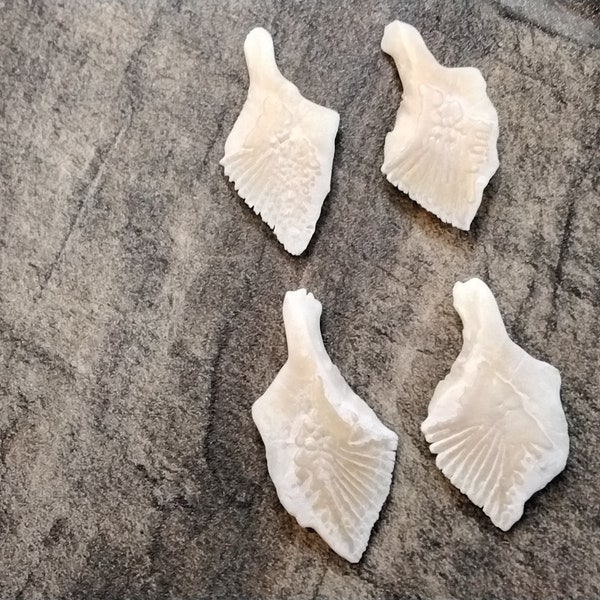 Gar Fish Scales - Etsy