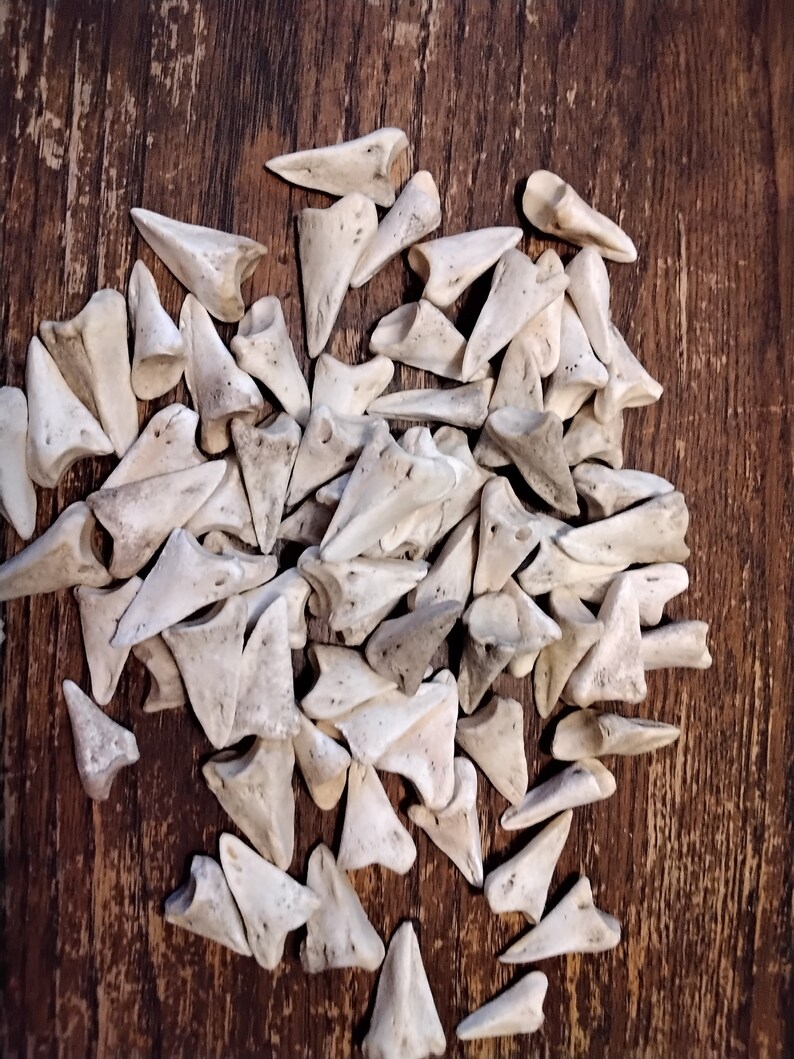 Deer Hoof Toe Bone for 6 Looks Like Arrowhead Natural Organic - Etsy