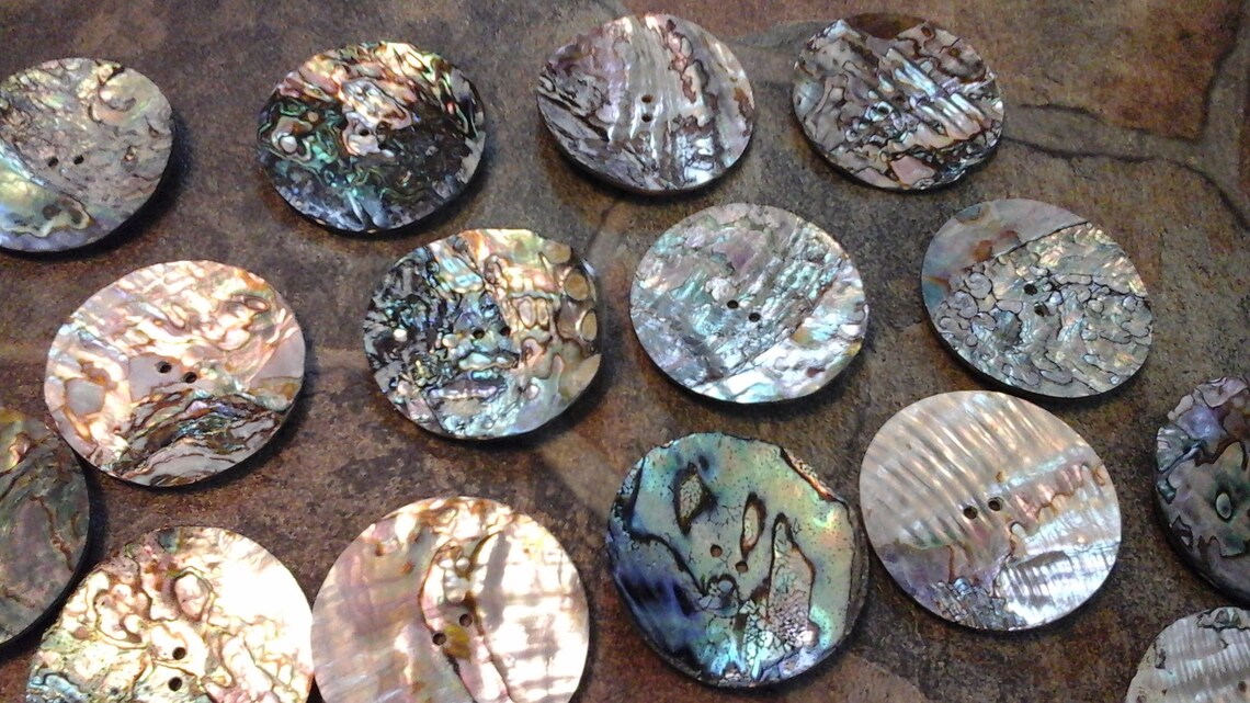 Abalone Shell Disc for 1 2 with 2 holes drilled | Etsy