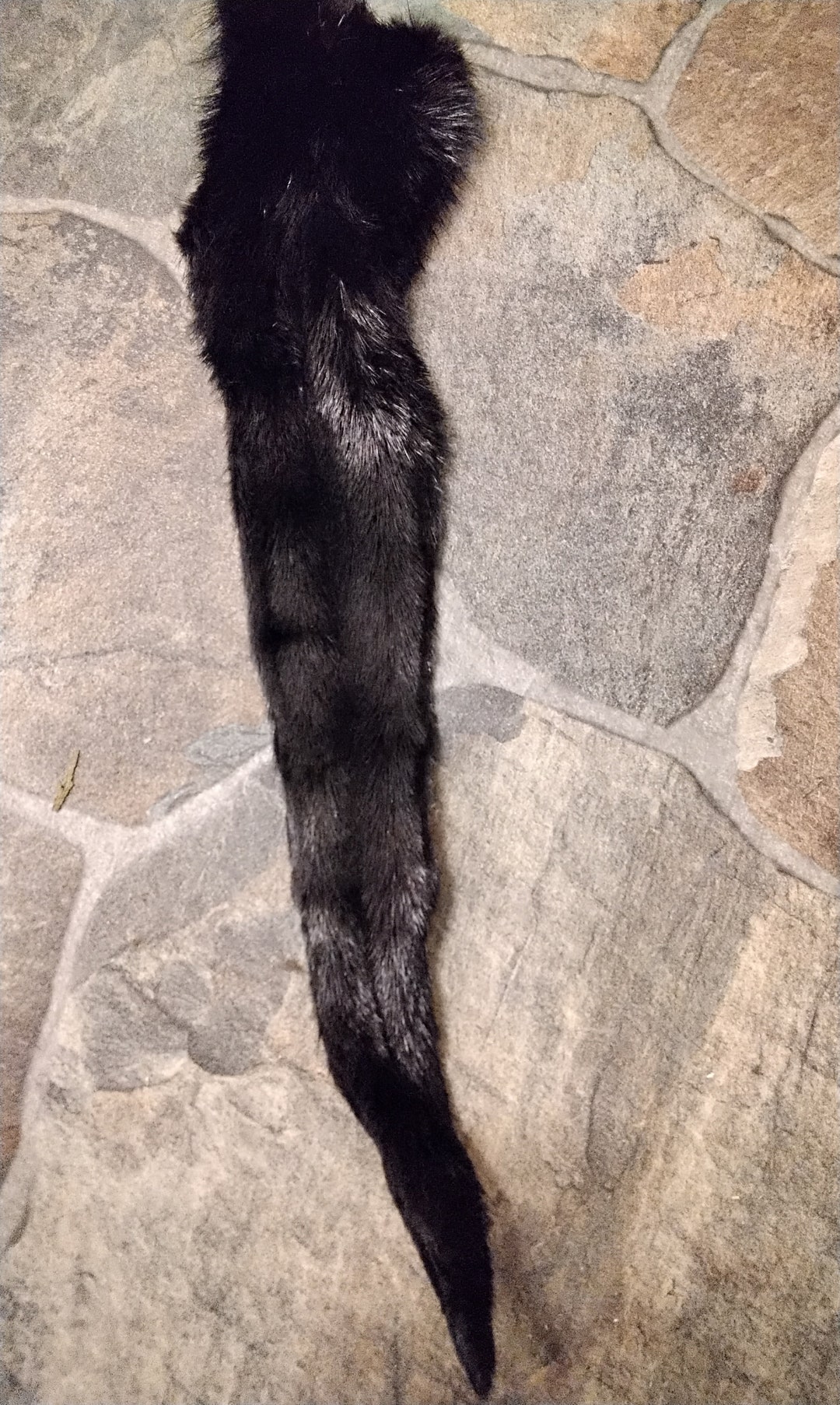 Otter Fur Tail for 1 Huge Lot Jet Black From USA Huge Jet Black - Etsy