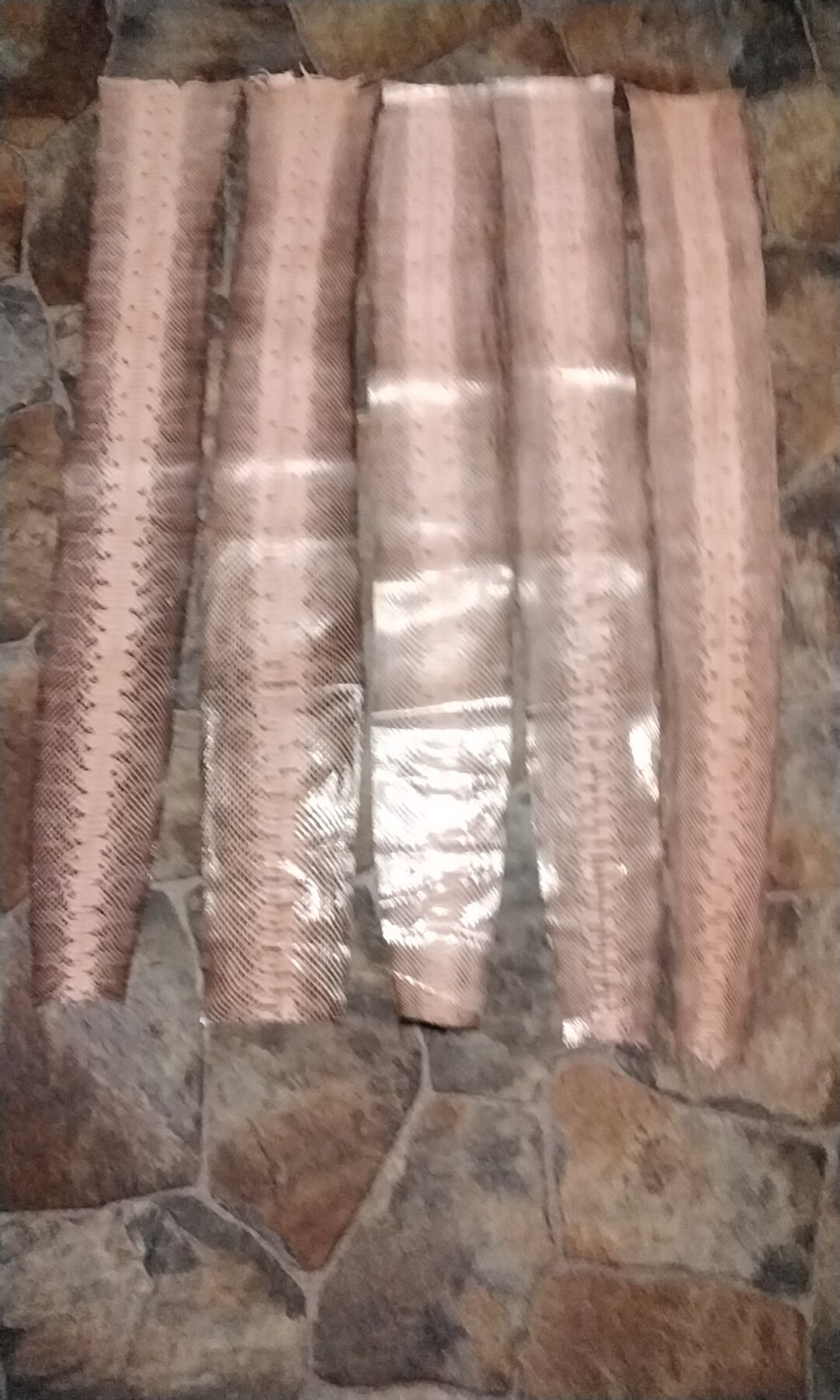 Snake Skin for 1 Super Huge Sea Snake Skin Brown/black - Etsy