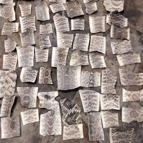 Rattlesnake Skin - Etsy
